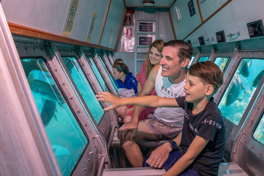 Green Island | Great Barrier Reef Tours | Full & Half Day Tours